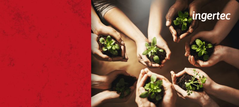 ISO 14040: Análisis del Ciclo de Vida (ACV) | Estandar en Sostenibilidad